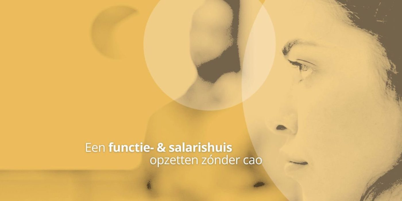 Functie- & salarishuis opzetten zonder cao: zo houd je grip